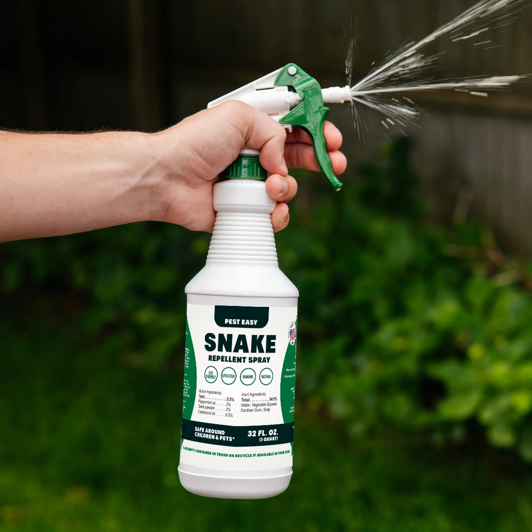 Home - Pest Easy | Eco-Friendly Pest Control Solutions