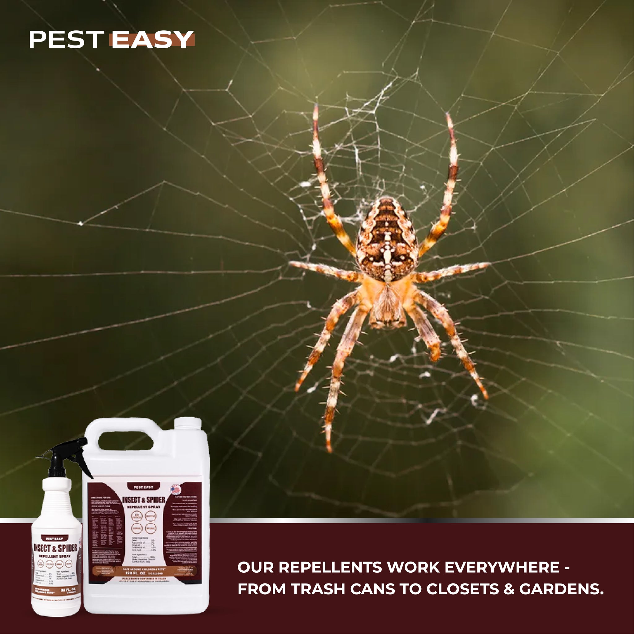 Pest Easy Spider and Insect Repellent | Spider and Bug Spray – Pest ...